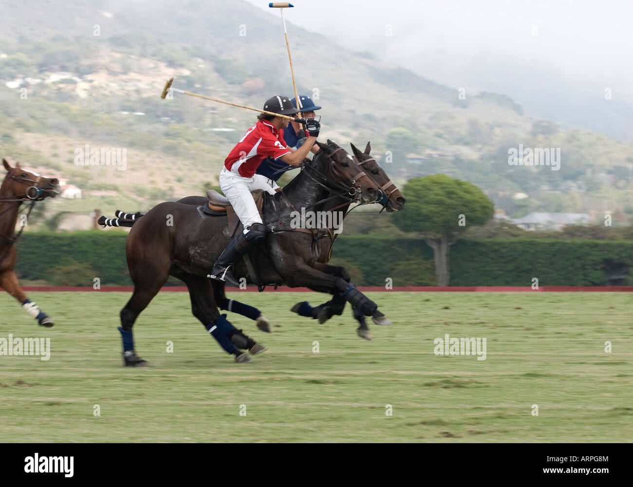 Two polo players engage in a high-speed chase down the playing field ...