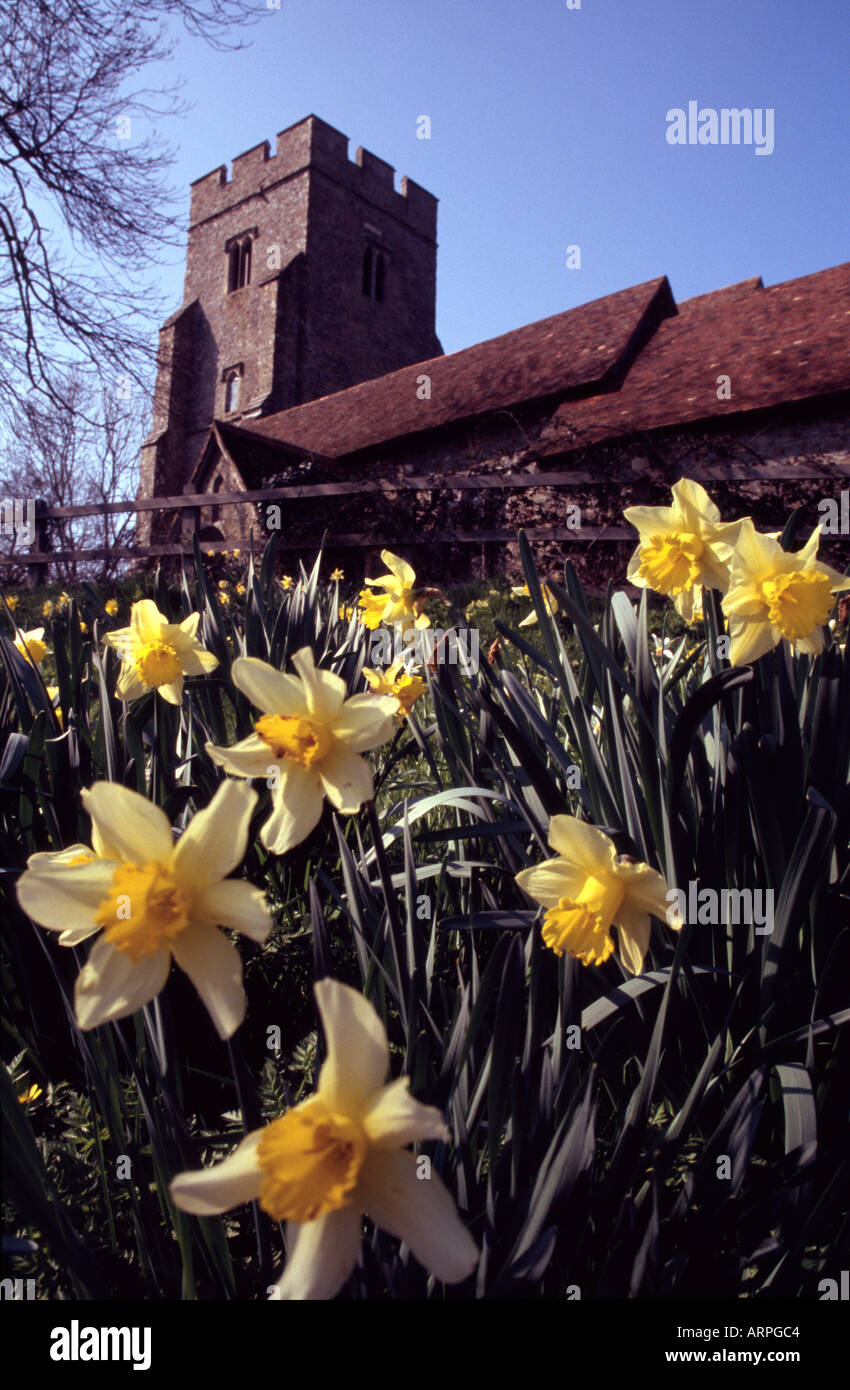 Stone in Oxney near Rye on the Kent border with East Sussex England ...