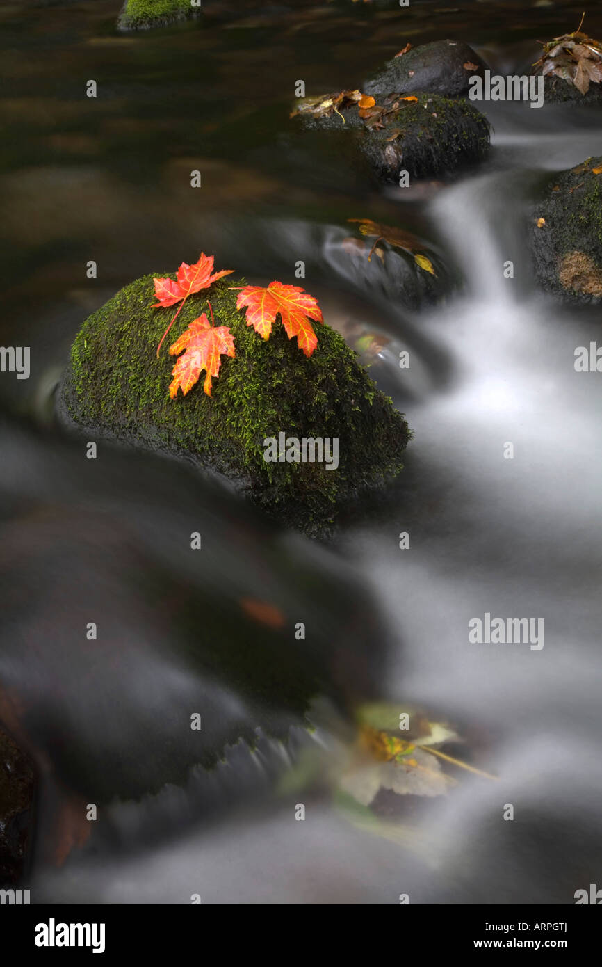 Okement hi-res stock photography and images - Alamy