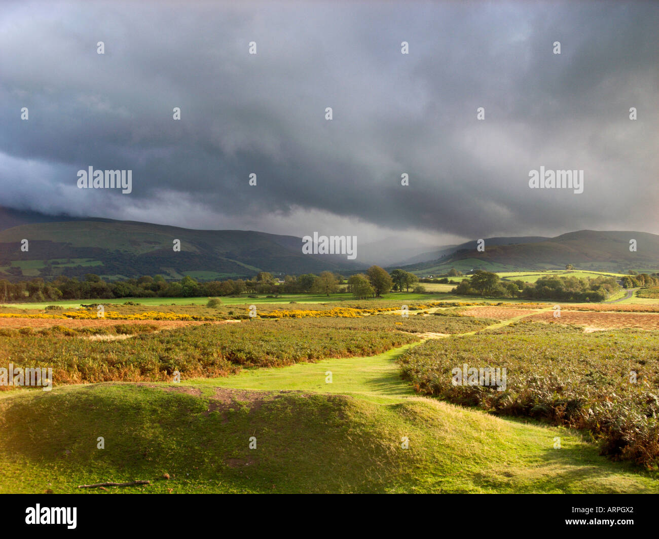 Bracken south wales national park common land tourism walking hi-res ...