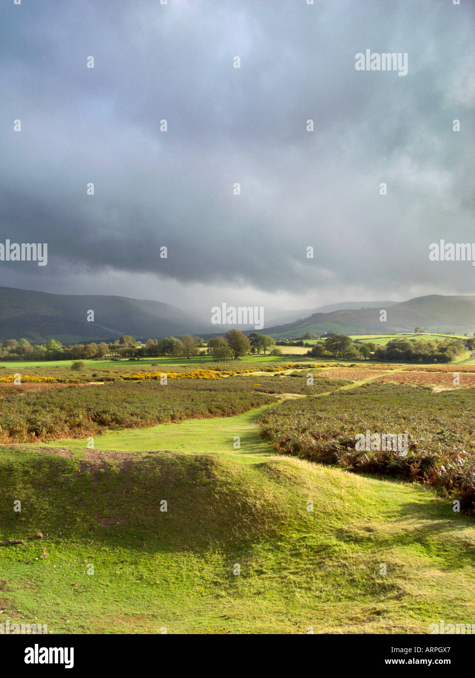 Bracken south wales national park common land tourism walking hi-res ...