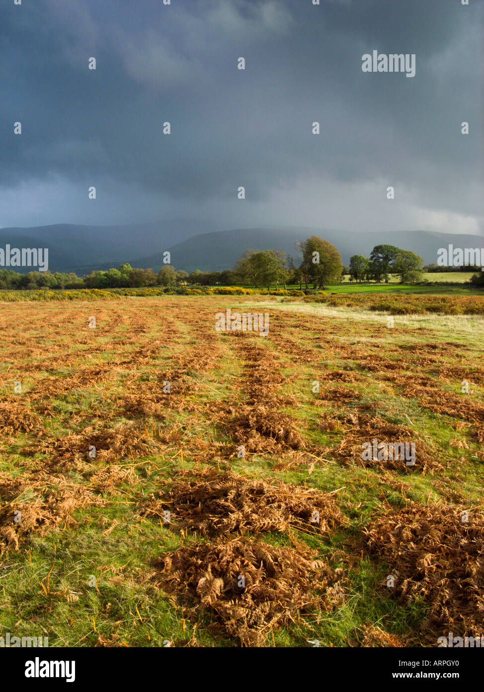 Mountain centre brecon uk hi-res stock photography and images - Alamy