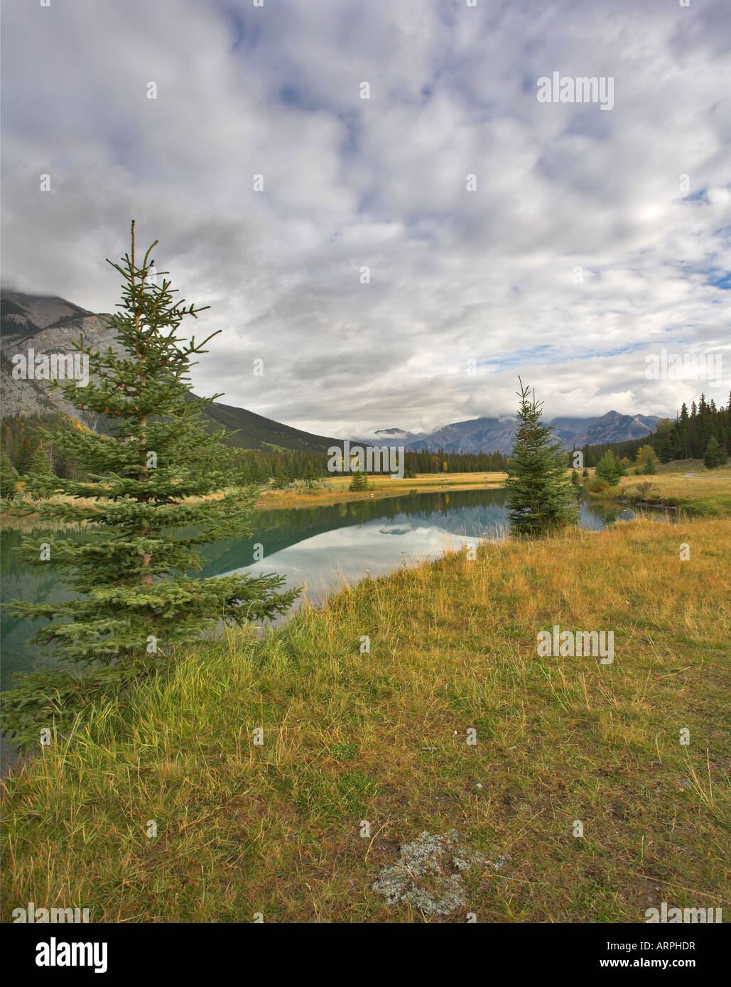 Small lake in the early cold morning in mountains of Canada Stock Photo ...