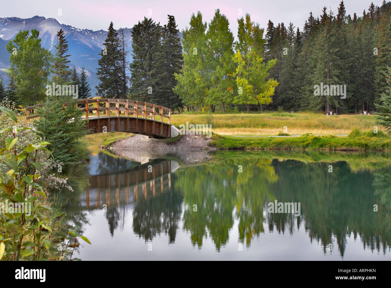 The small wooden bridge through Cascade ponds in reserve Banff in ...