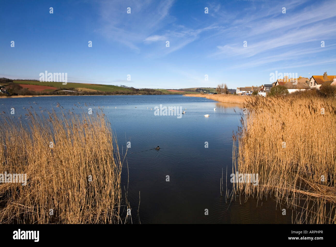 slapton lake south devon Stock Photo - Alamy