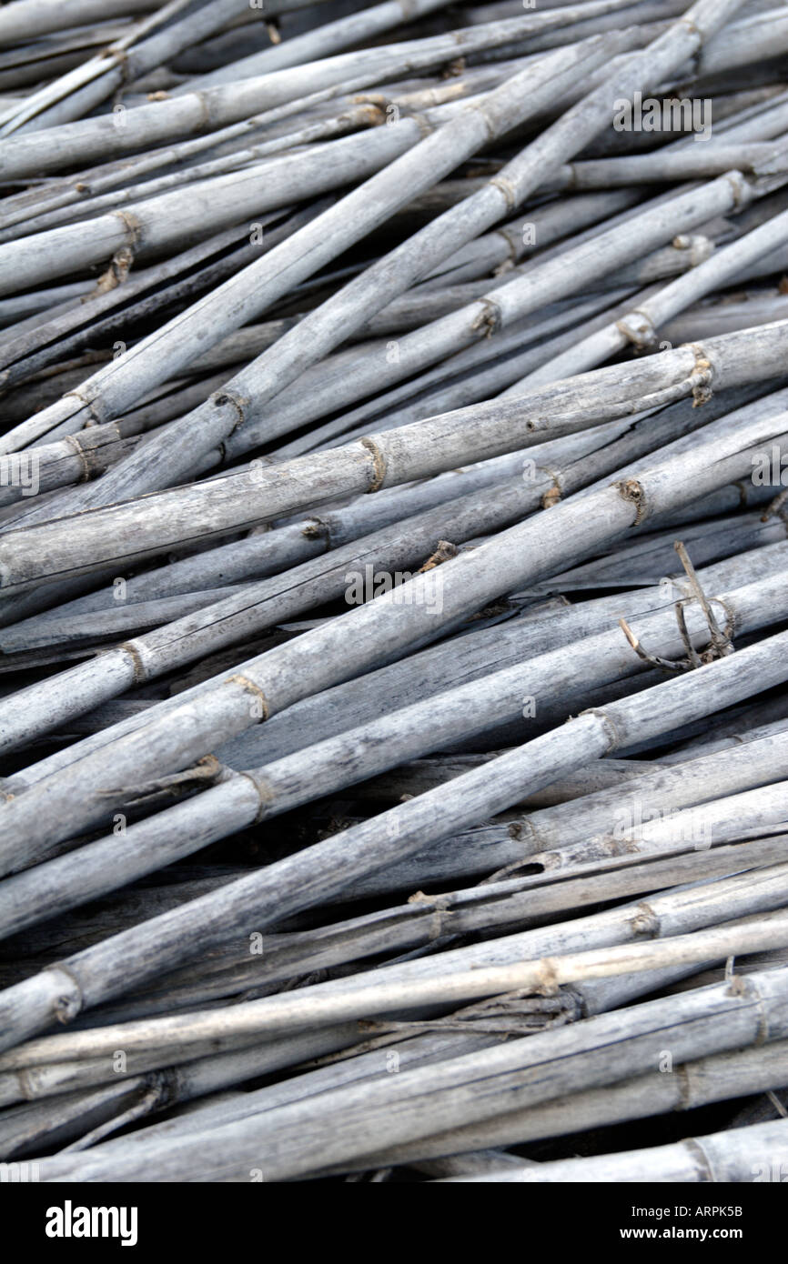 Vertical dried dead Bamboo background Stock Photo - Alamy