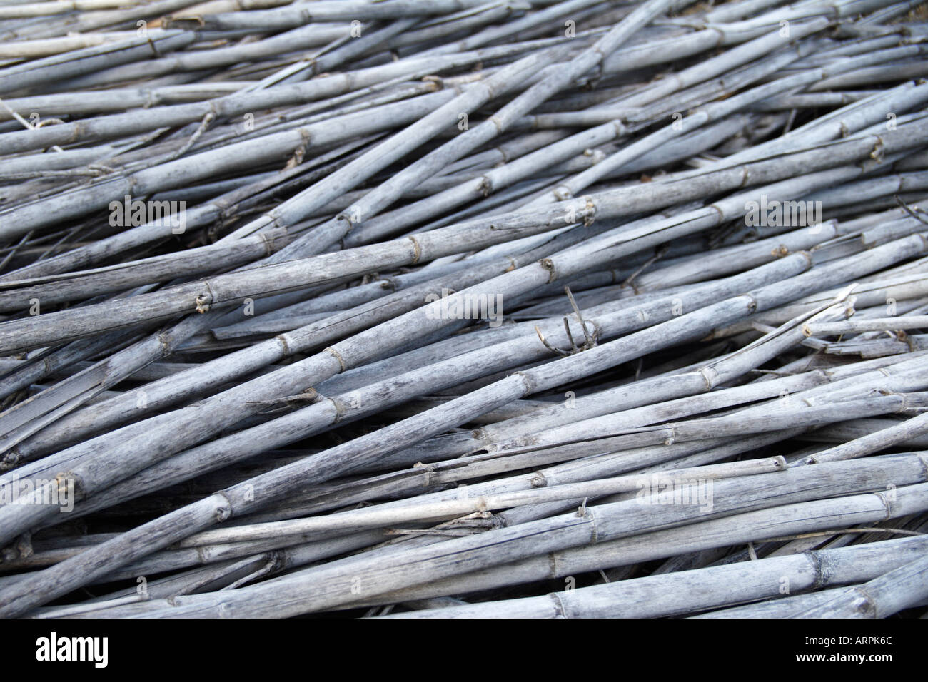 Horizontal dried dead Bamboo background Stock Photo - Alamy