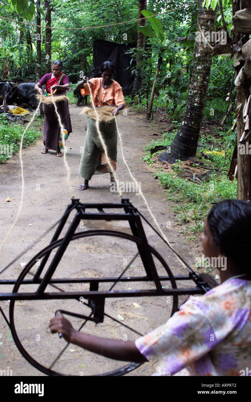 Keralan Backwaters, Central Kerala, South India, Asia. Women hand ...