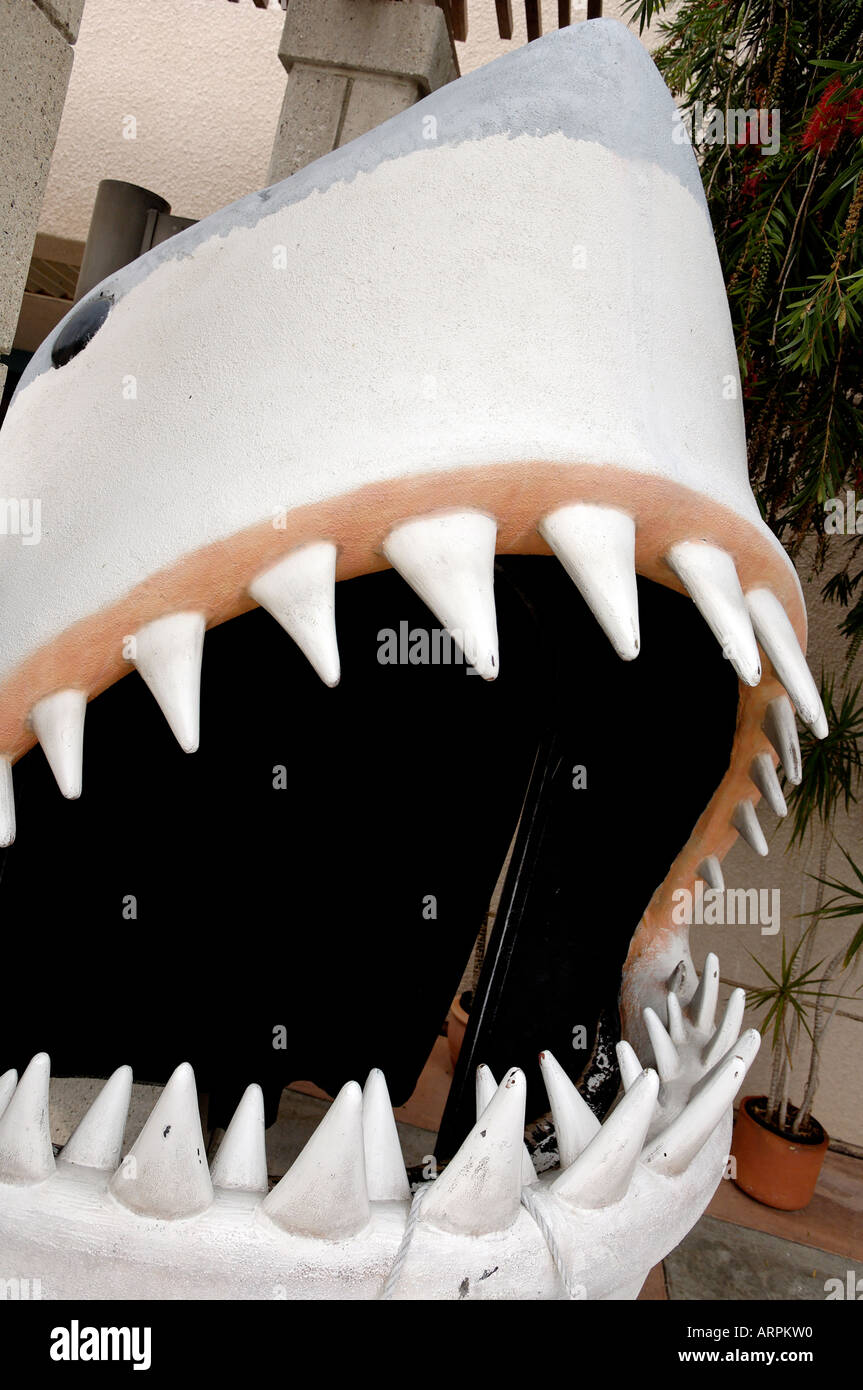 Birch aquarium hi-res stock photography and images - Alamy