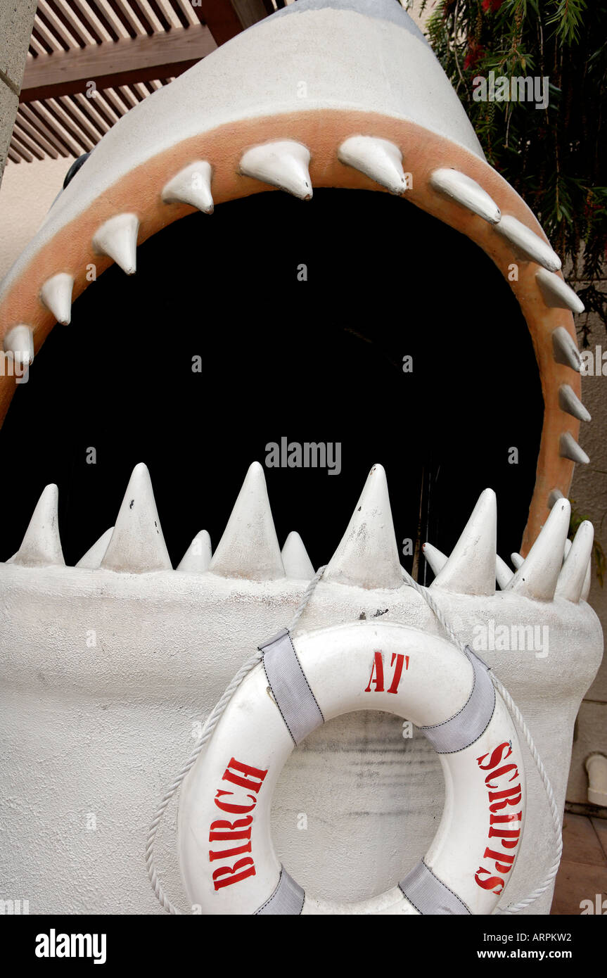 A Portrait Photograph of a Fake Sharks Head at Birch Aquarium Visitors ...