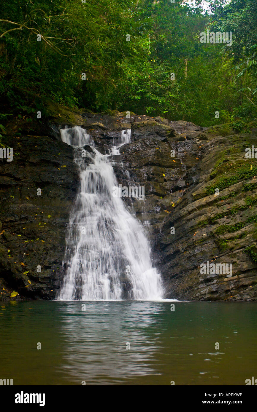 Puntarenas Costa Rica Waterfall Stock Photos & Puntarenas Costa Rica ...