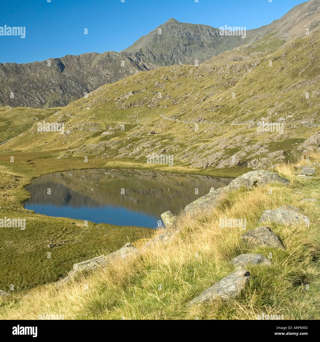 Llyn teryn hi-res stock photography and images - Alamy