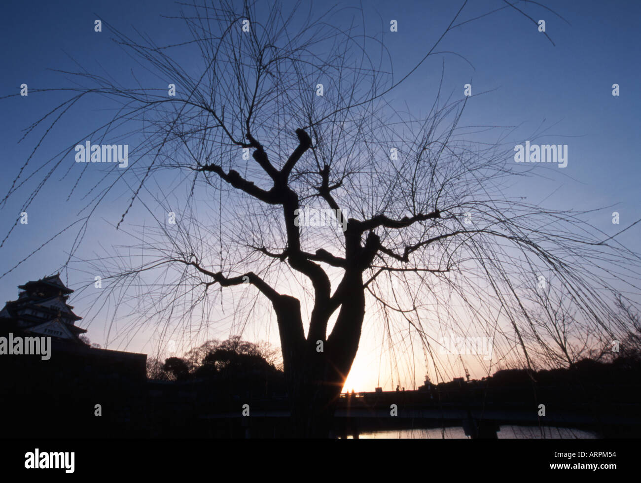 Osaka castle tree foreground hi-res stock photography and images - Alamy