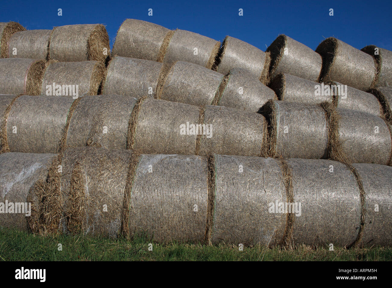 Straw ball hi-res stock photography and images - Alamy