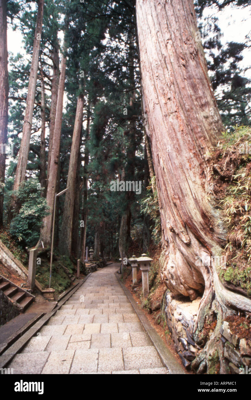 Big japanese cemetery hi-res stock photography and images - Alamy