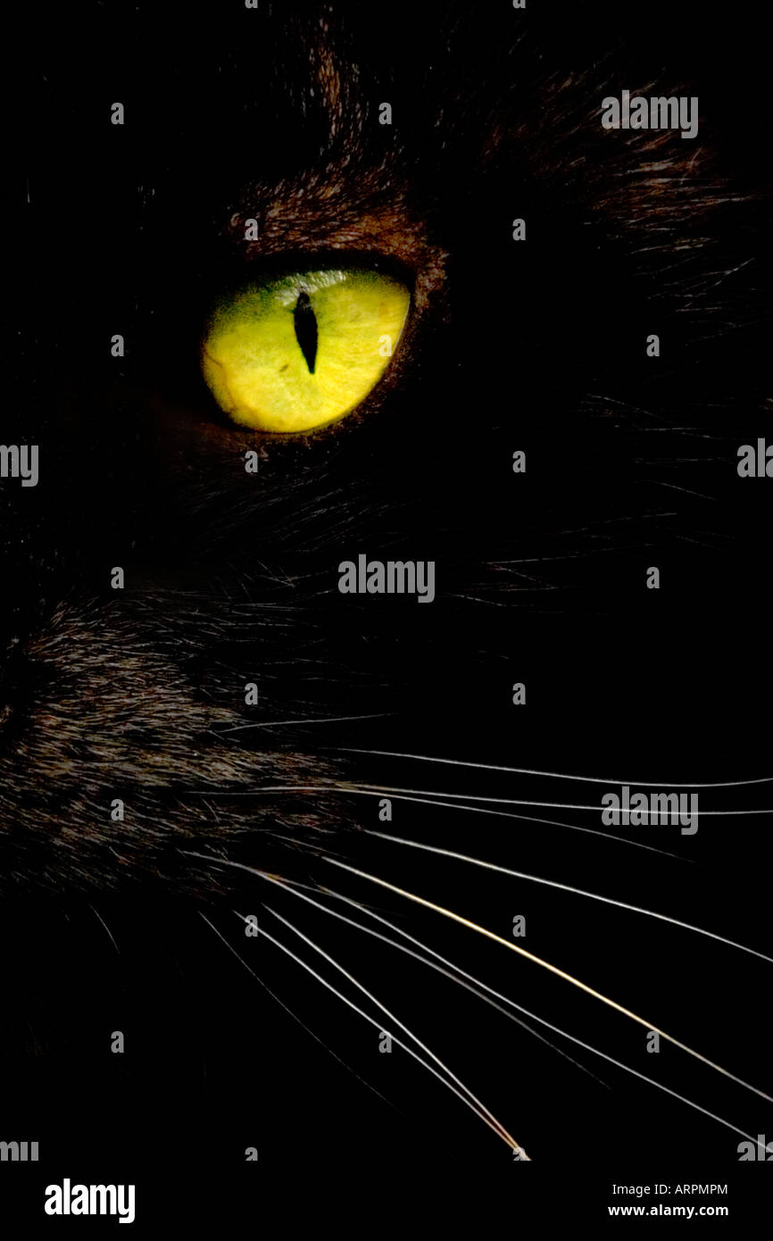Cats eye hi-res stock photography and images - Alamy