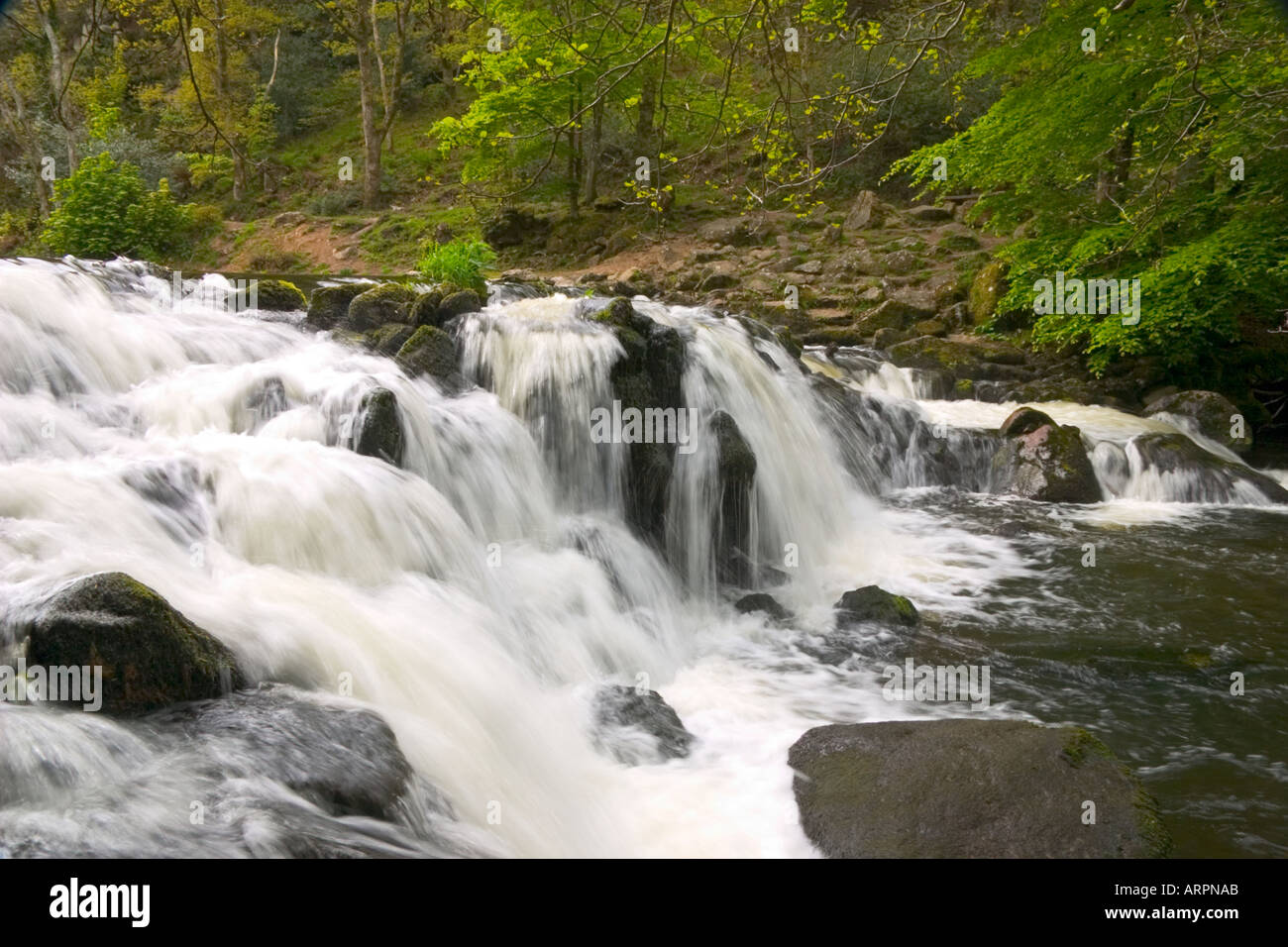 Waterfall River Teign Dartmoor Devon England Stock Photo - Alamy