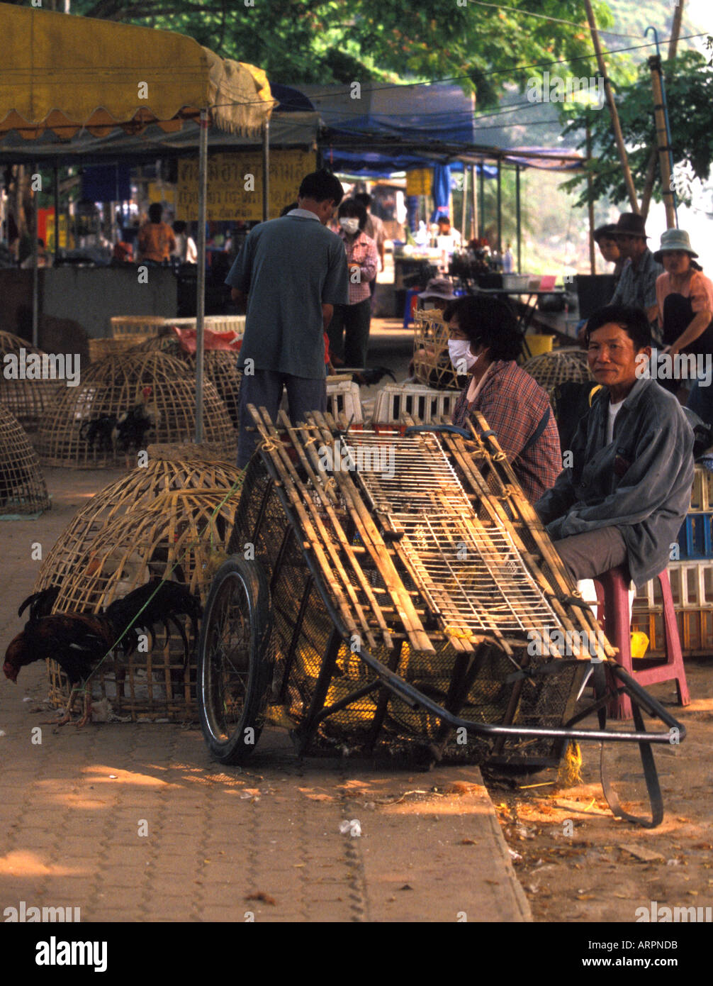TRADING THEIR POULTRY Stock Photo - Alamy