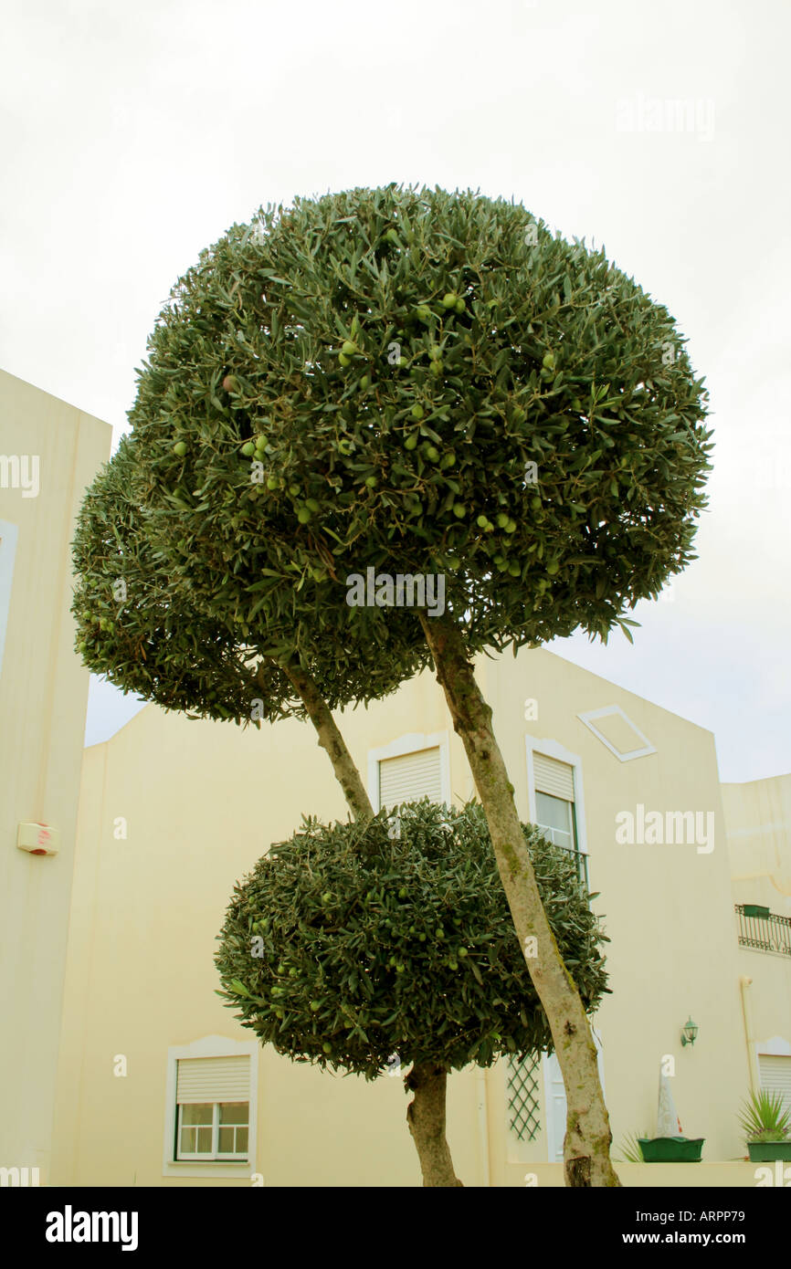 Globular shape hi-res stock photography and images - Alamy