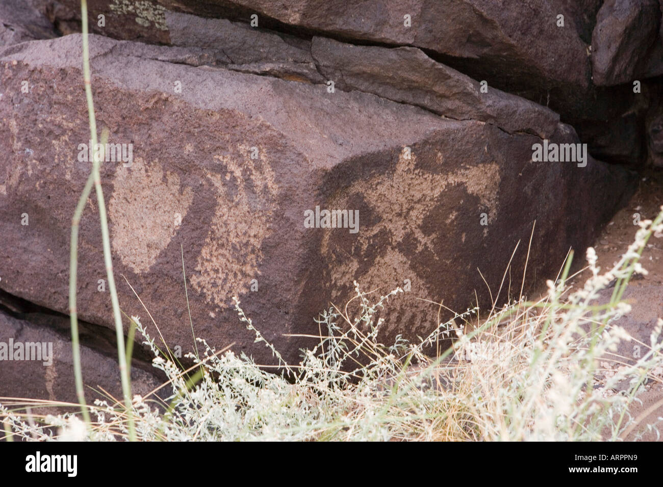 ancient petroglyph drawings in Los Lunas, New Mexico, USA Stock Photo ...
