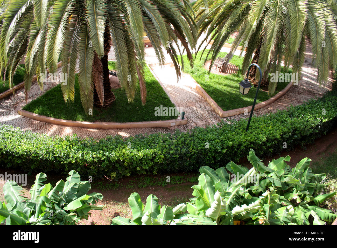 Palm tree garden and banana plants at Silves Castle Algarve Portugal ...