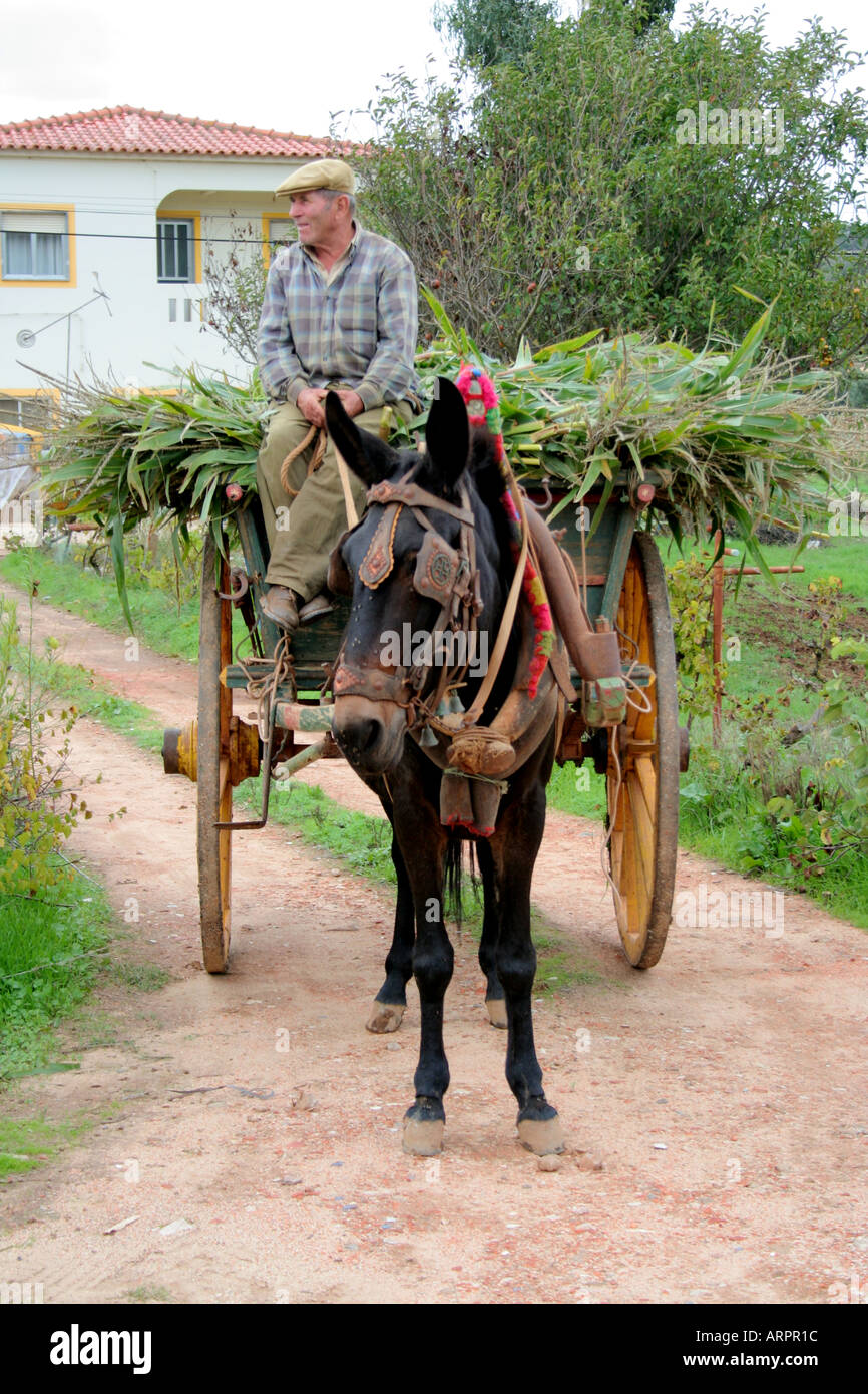 Men Load Horse Cart Stock Photos & Men Load Horse Cart Stock Images - Alamy