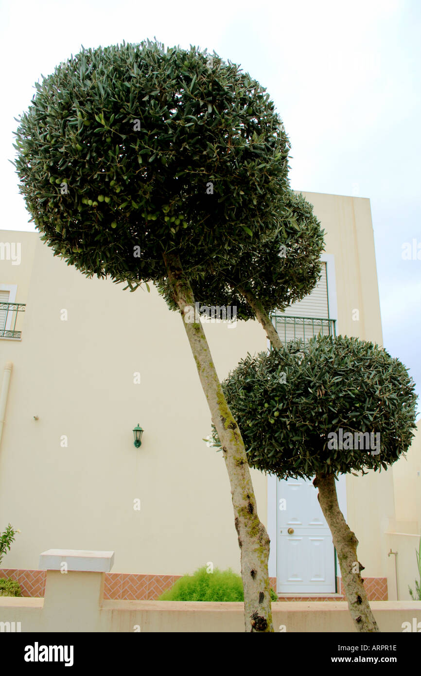 Circle houses cut out hi-res stock photography and images - Alamy