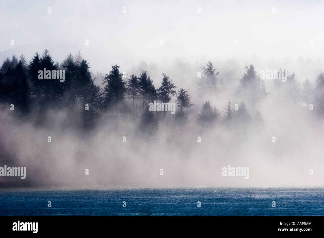 Fog on the Alsea Bay in Waldport Oregon Stock Photo - Alamy