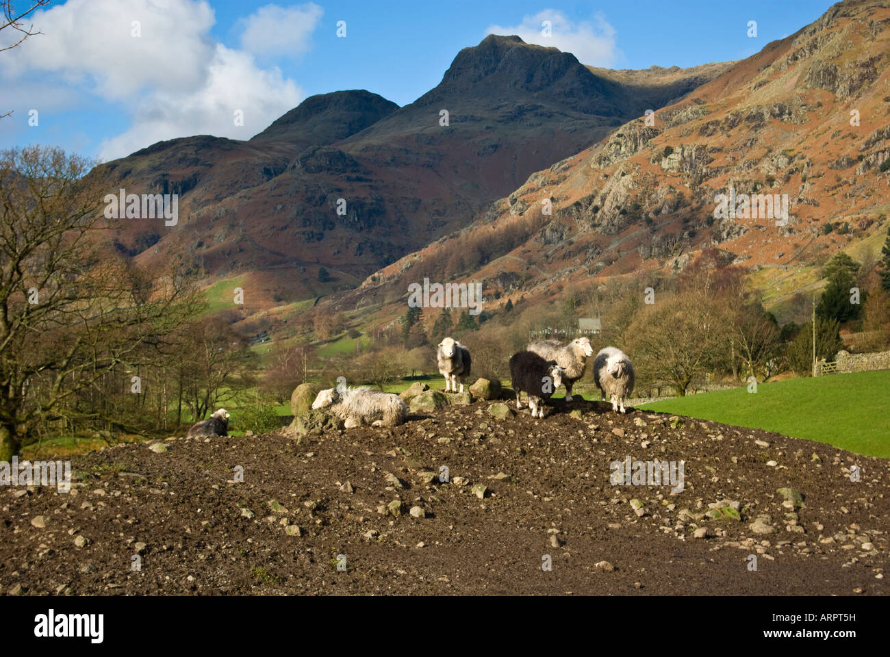 Langdale Valley, Lake District, Cumbria Stock Photo - Alamy
