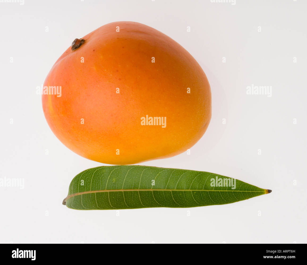 Whole and prepared mango hi-res stock photography and images - Alamy