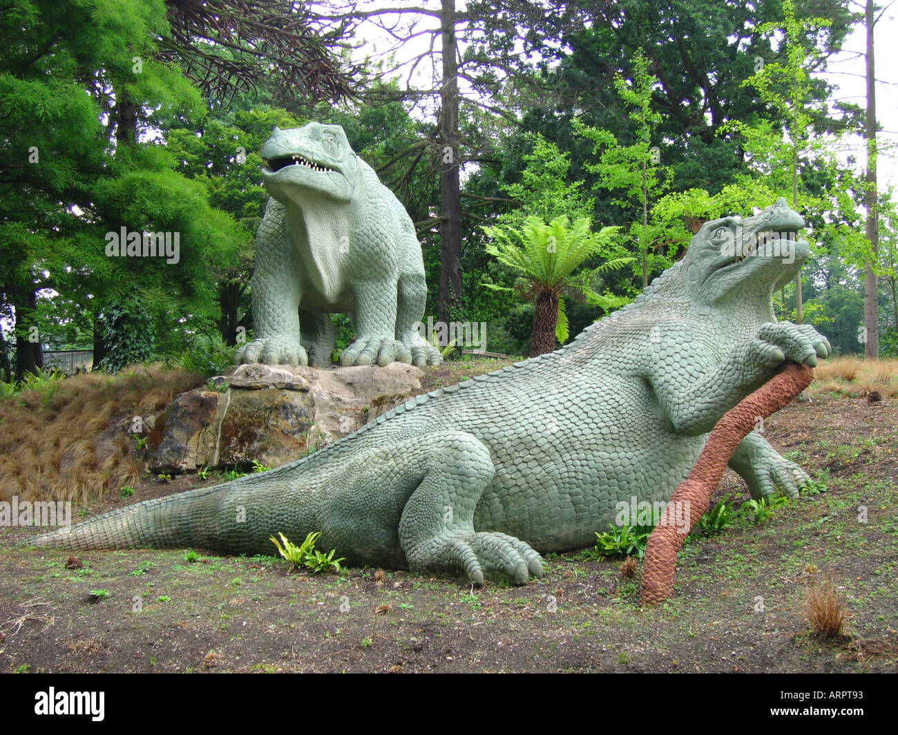 Iguanodon High Resolution Stock Photography and Images - Alamy