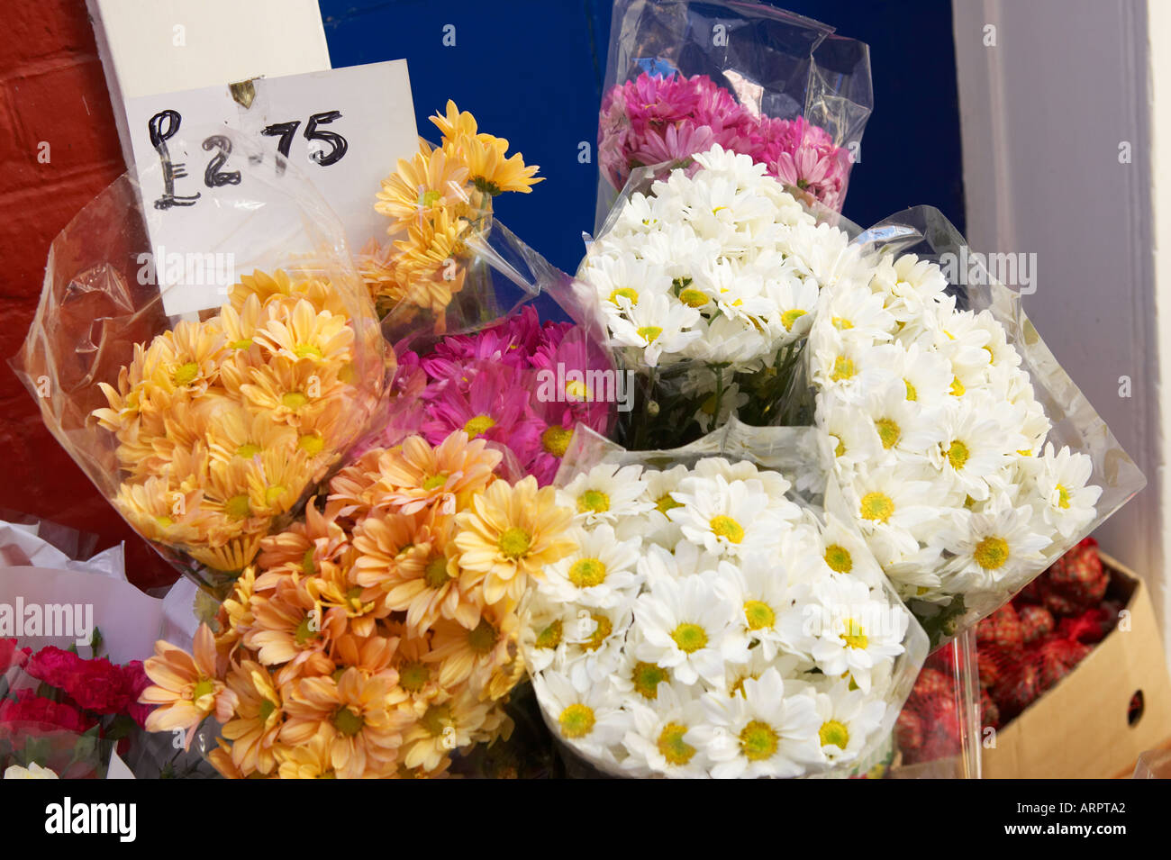 Bunches of flowers with price tag Stock Photo - Alamy