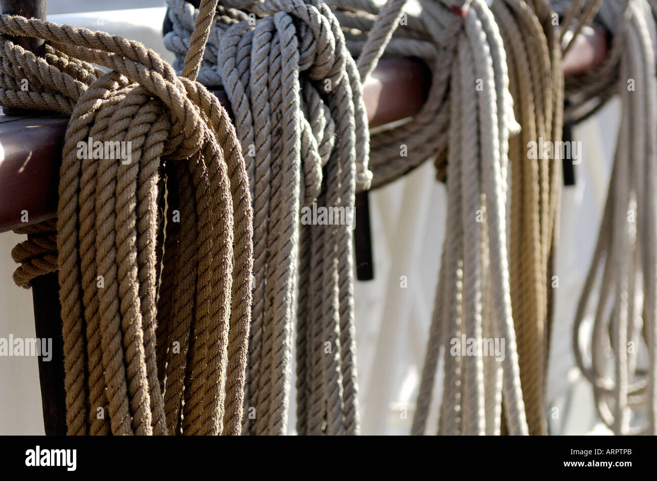 A Close Up Landscape Photograph of Ropes Used as Sailing Equipment ...