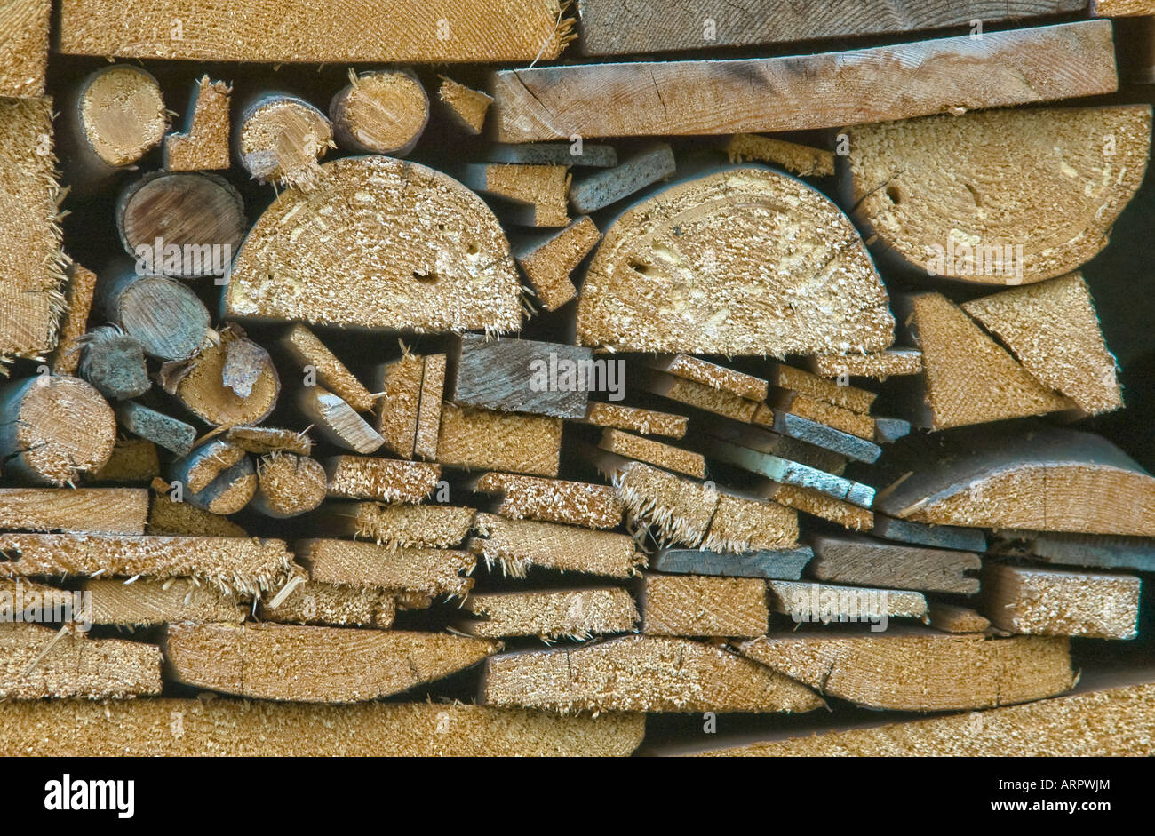 Log ends wood pile Stock Photo - Alamy