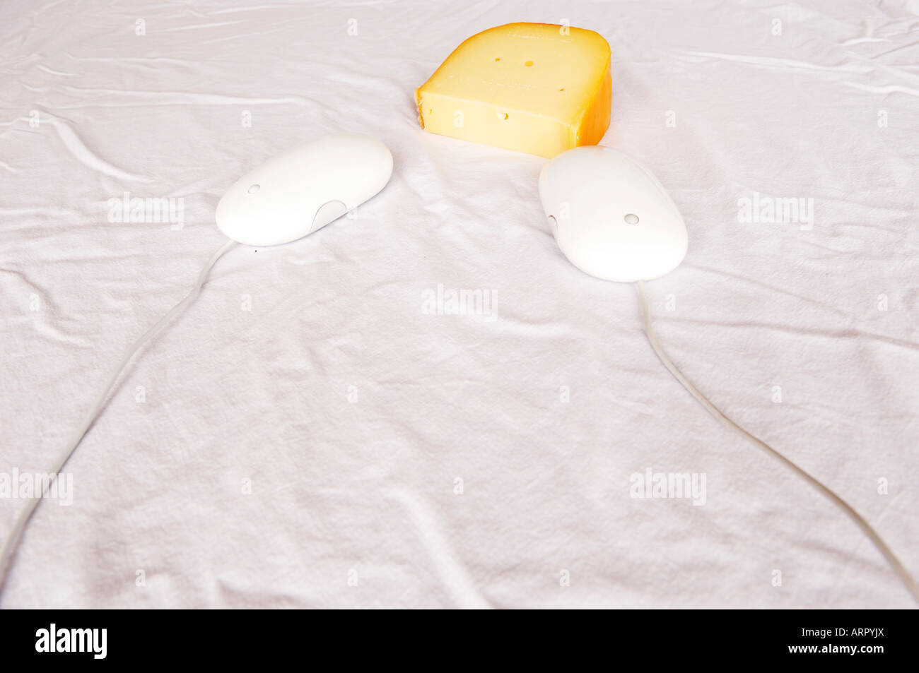 Computer Mouse Eating Cheese