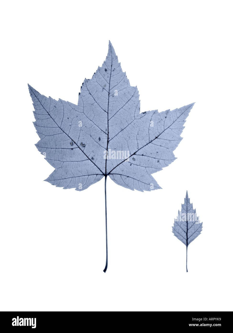 Nurture symbol Cut Out Stock Images & Pictures - Alamy