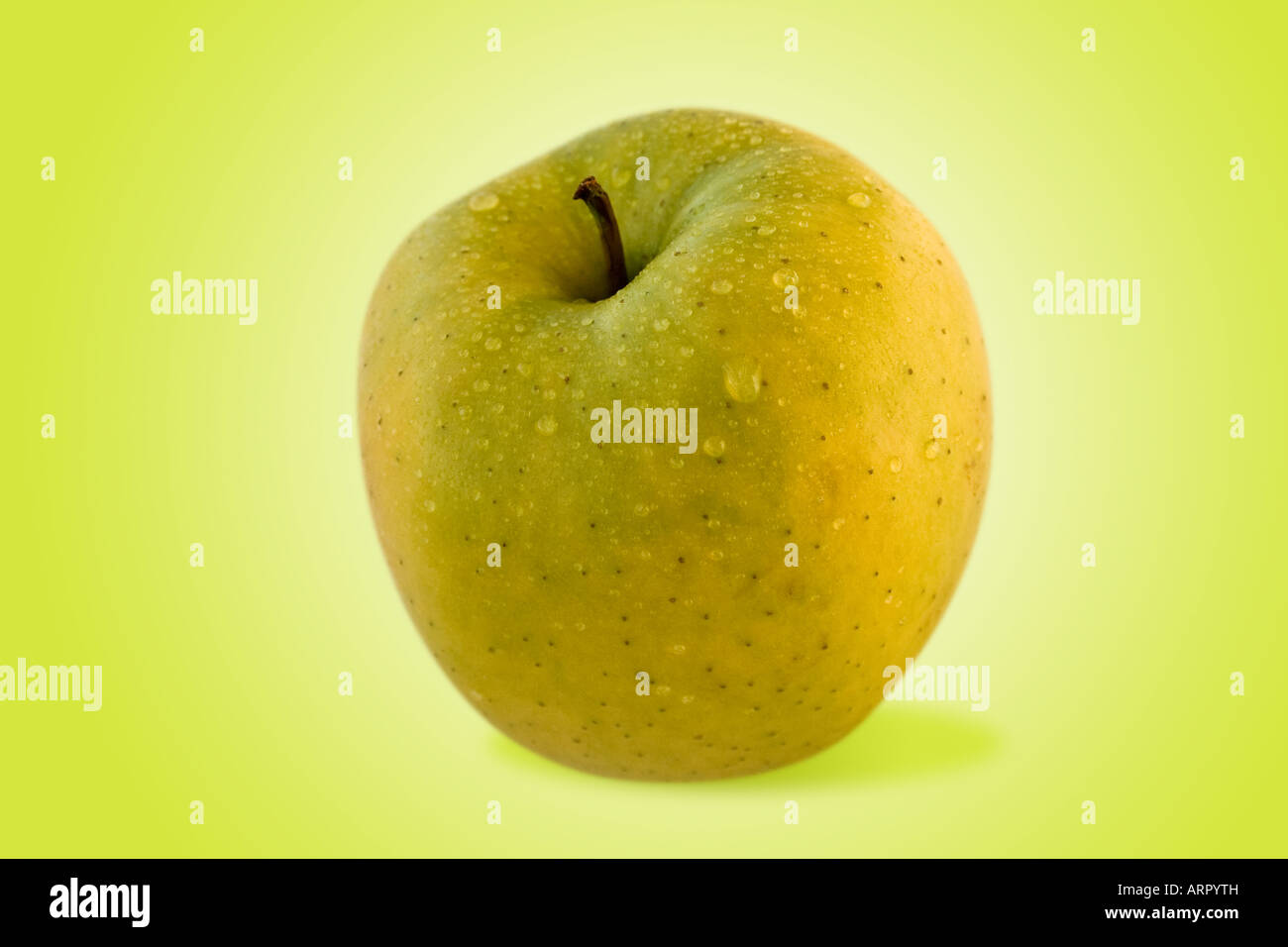 Isolated apple tree malus hi-res stock photography and images - Alamy