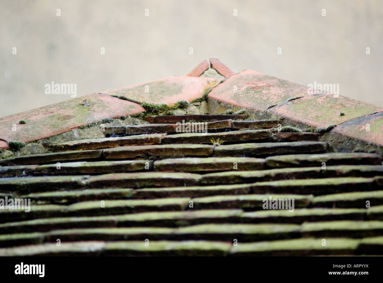 Kentpeg hi-res stock photography and images - Alamy