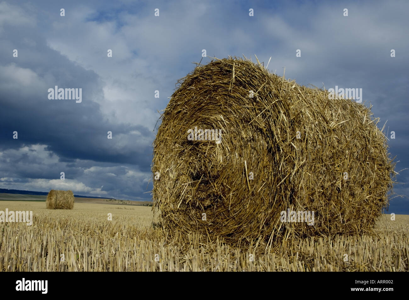 Hay bales in harvested corn field, Normandy, France Stock Photo - Alamy