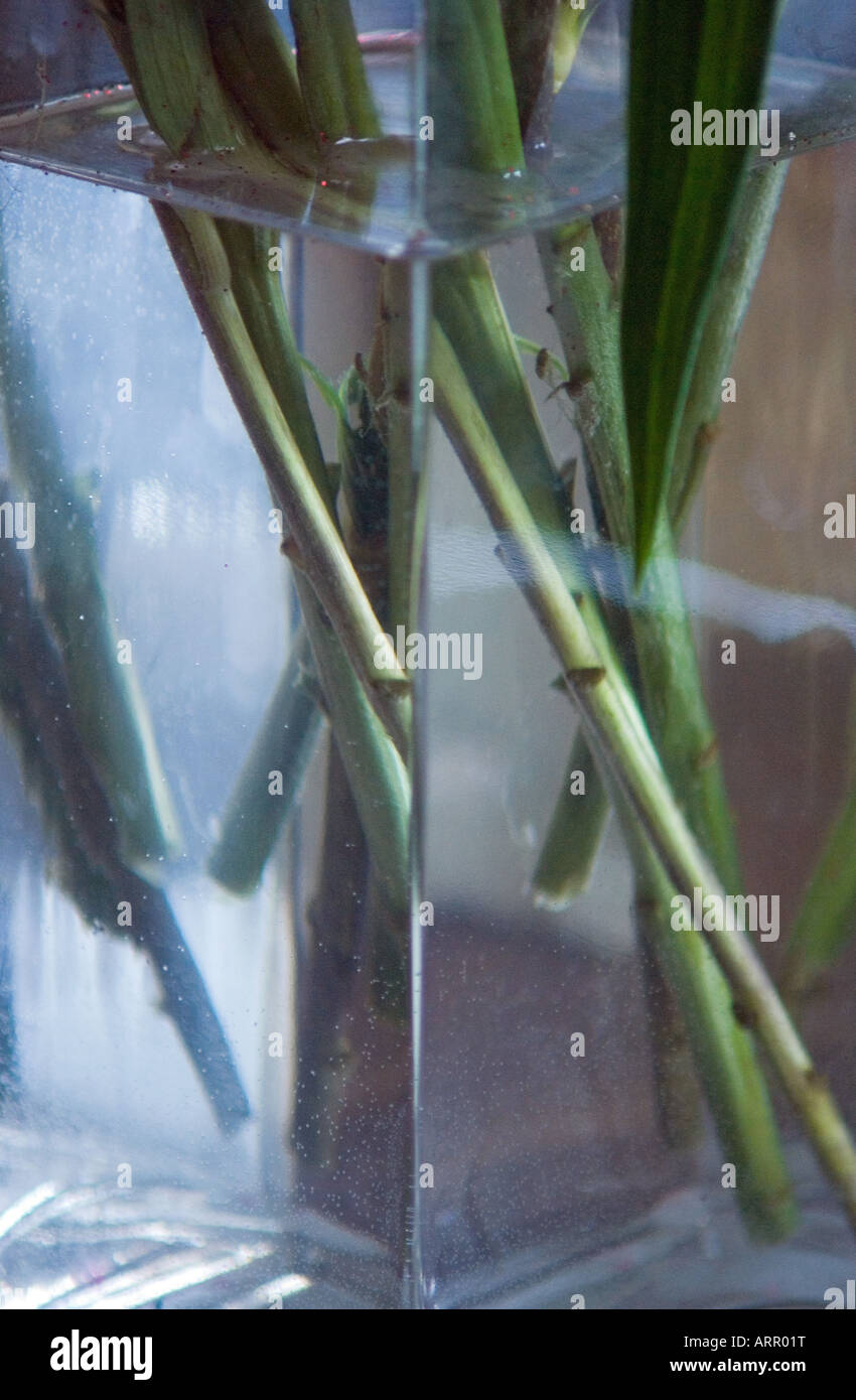 Reflection and refraction hi-res stock photography and images - Alamy