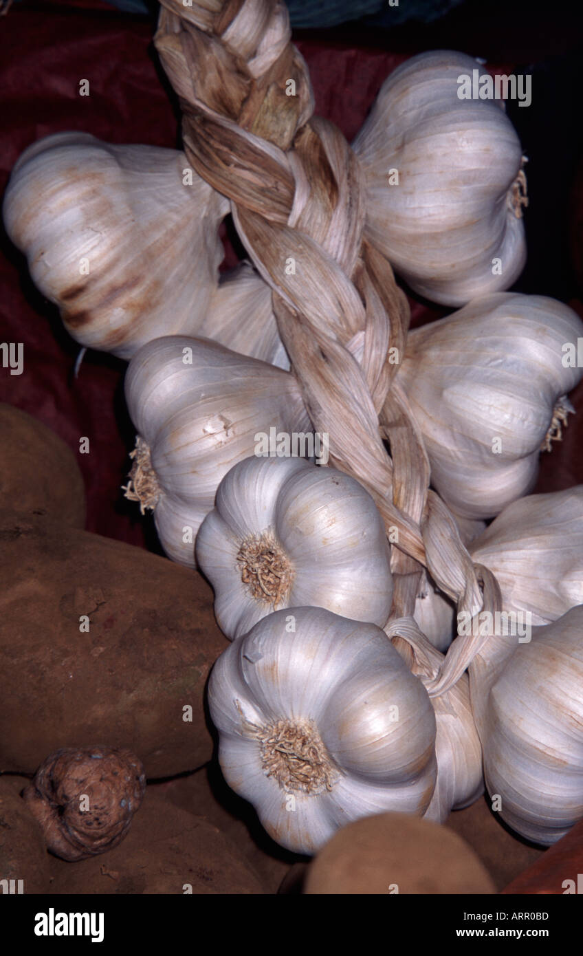 Garlic harvest england hi-res stock photography and images - Alamy