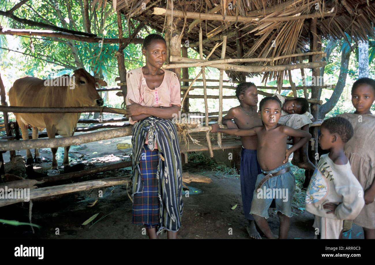 AFRICA KENYA KALIFI Kenyan mother with the Heifer Project International ...
