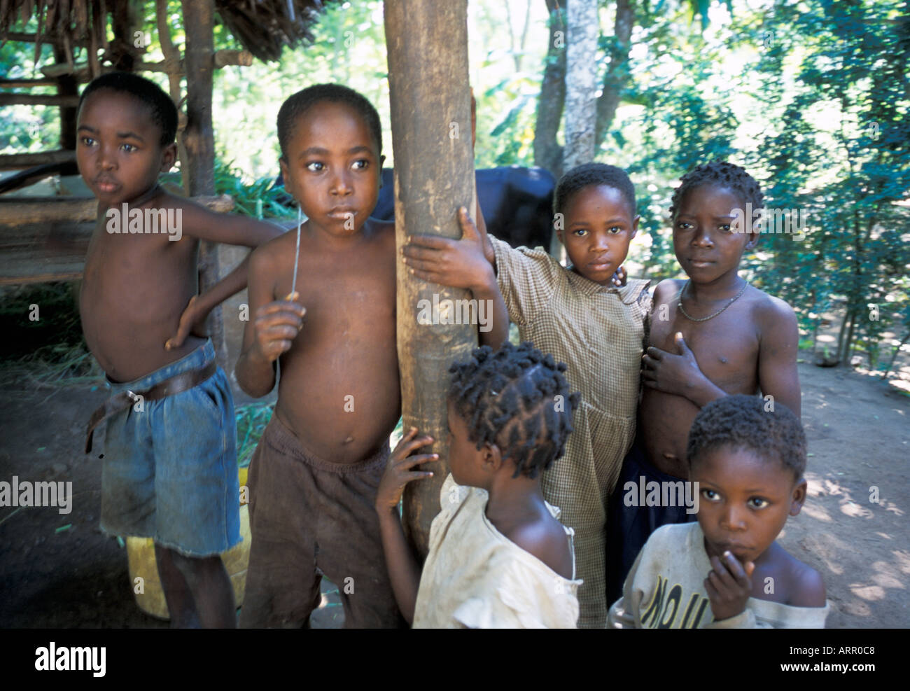 AFRICA KENYA KALIFI Kenyan children who are able to attend school ...