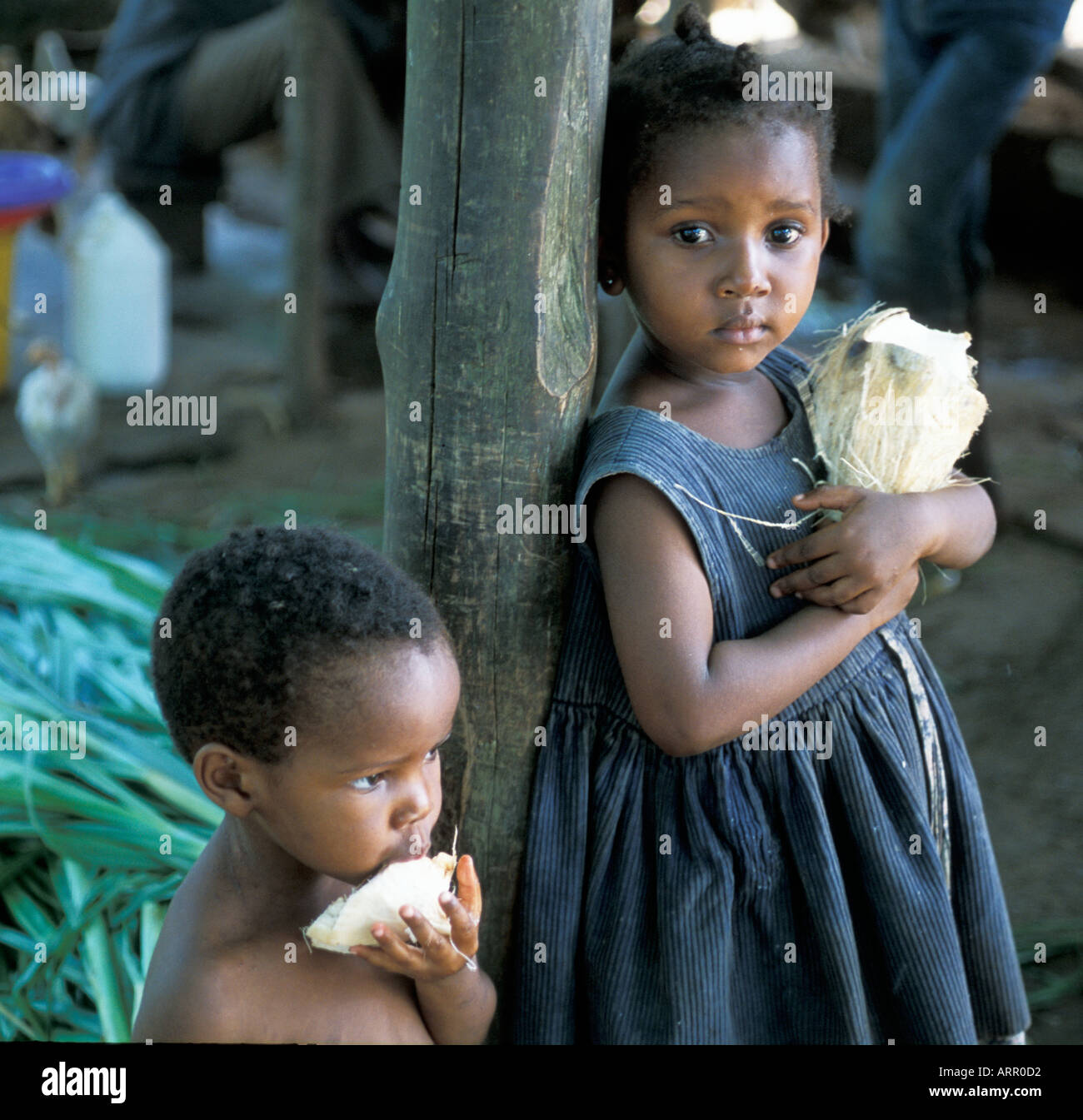 AFRICA KENYA KALIFI Kenyan children eating coconuts Stock Photo - Alamy