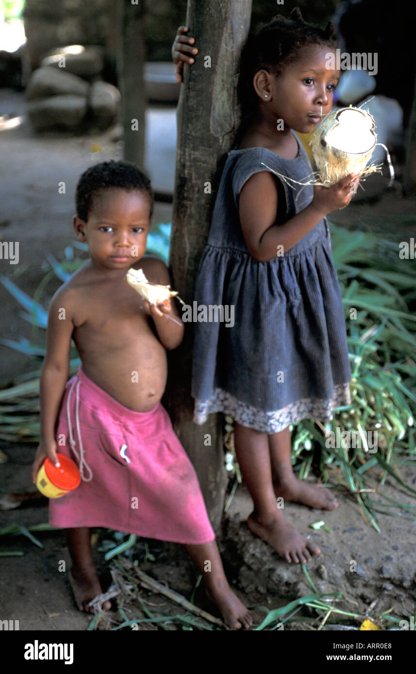 AFRICA KENYA KALIFI Kenyan children eating coconuts in their family s ...