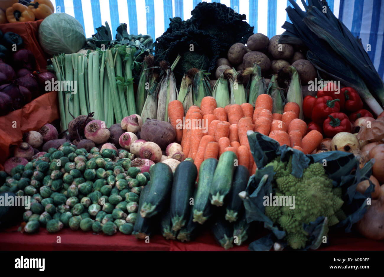 Selection of vegetables - carrots courgettes sprouts peppers potatoes ...