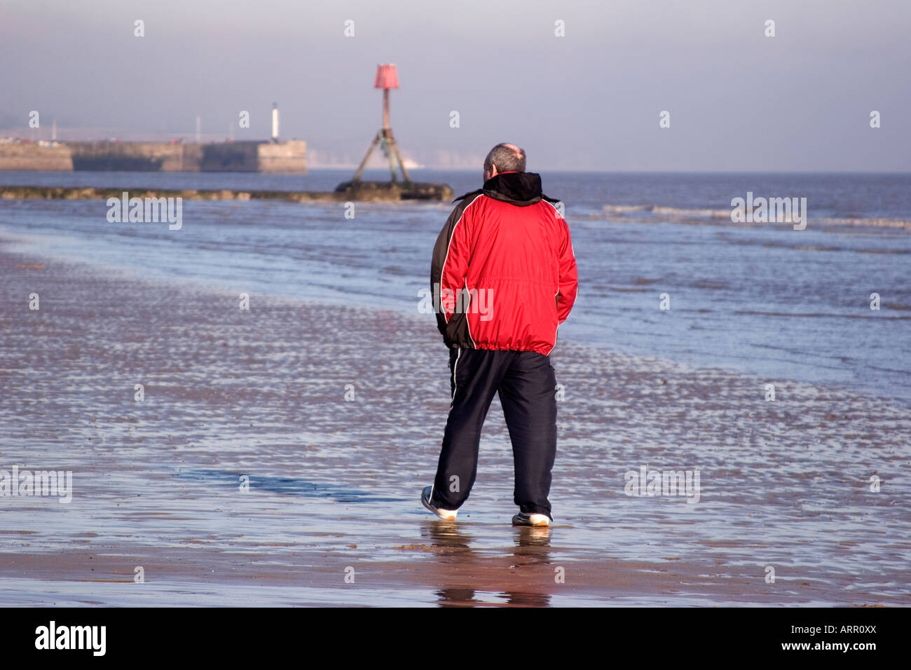 Wandering alone on the beach Stock Photo - Alamy