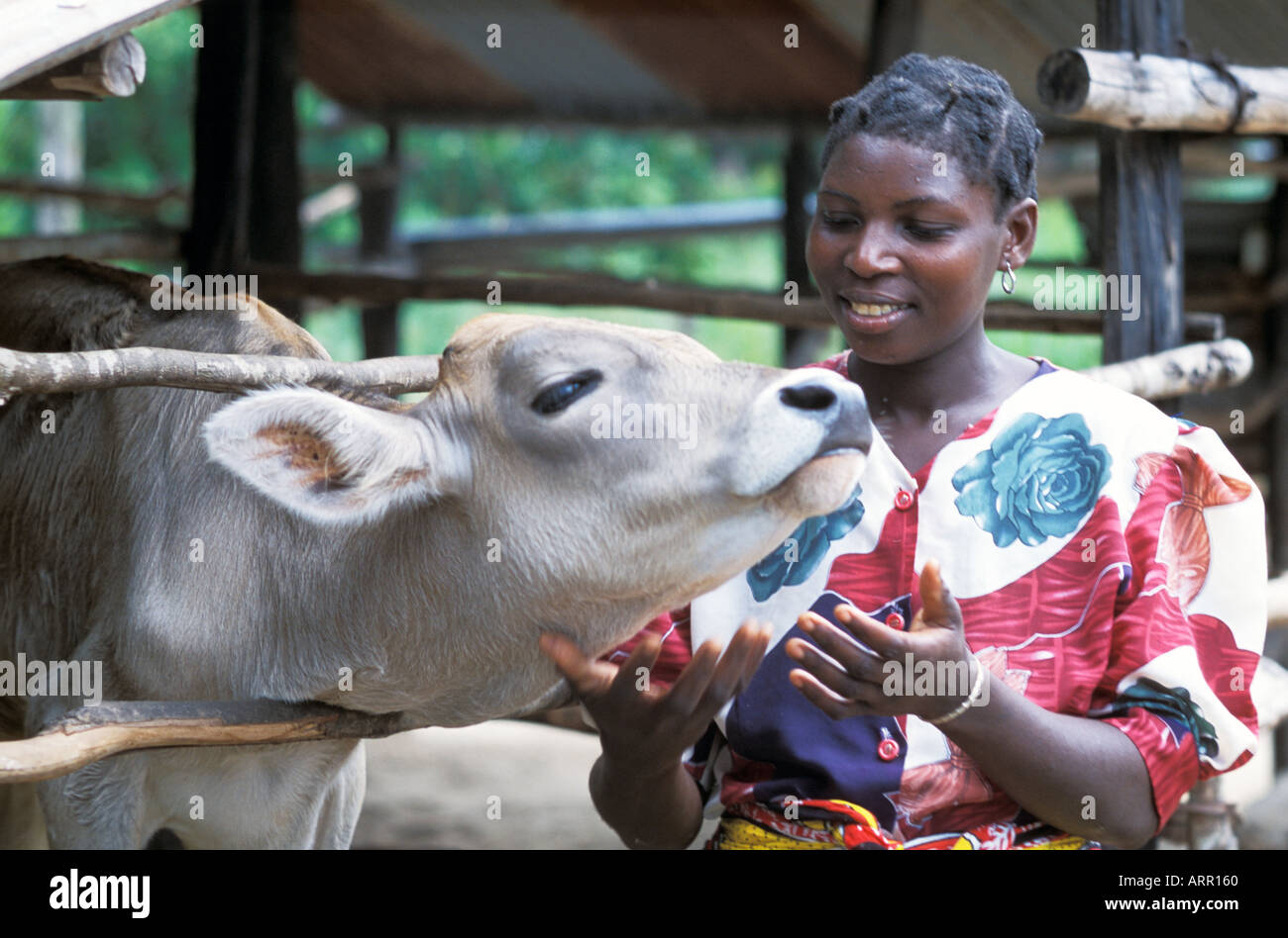 AFRICA KENYA KALIFI Young Kenyan woman with the Heifer Project ...