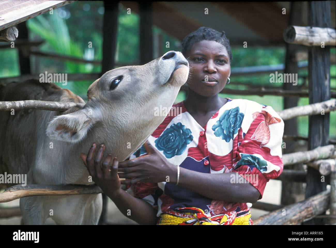 AFRICA KENYA KALIFI Young Kenyan woman with the Heifer Project ...