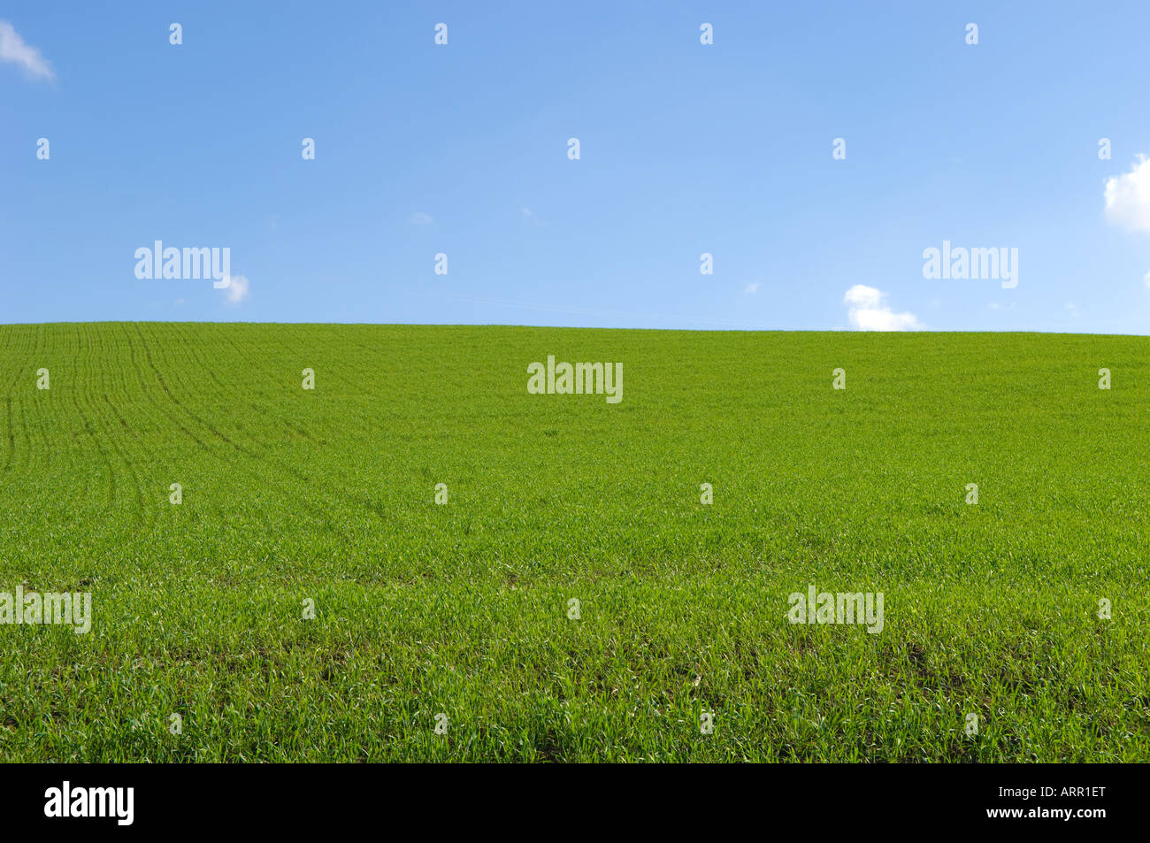 Green farmland desert hi-res stock photography and images - Alamy
